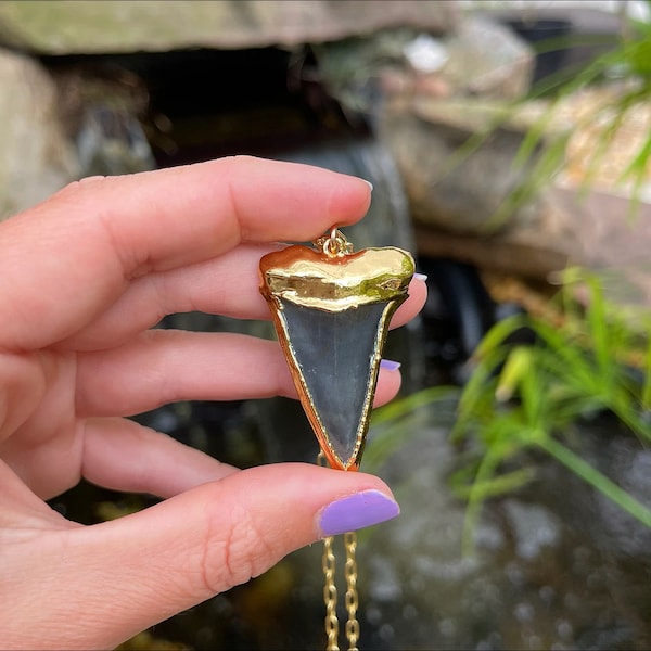 Mens Gold Shark Tooth Necklace - Etsy