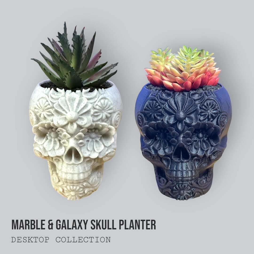 Mini Skull Planter Set | Marble and Galaxy Skeleton Decor Plant Holder ...