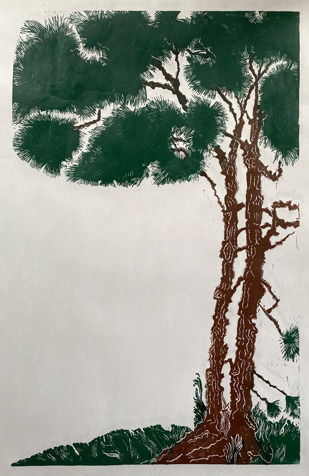 Florida Pines, Limited Edtion, Hand Printed, Hand Signed in Pencil by ...