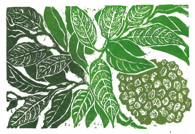 Tamarind Limited Edition Color Linoleum Block Print Printed - Etsy