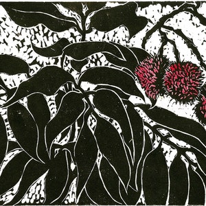 Lychees, Limited Edition, Linoleum Block Print, Printed and Signed in ...