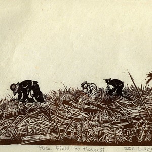 Rice Field at Harvest, Limited Edition Lino Cut, Hand Printed, Hand ...
