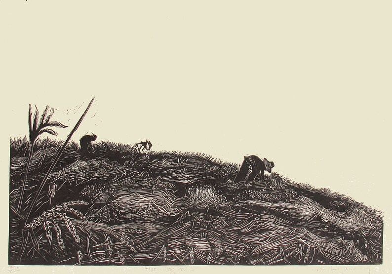 Rice Field at Harvest Limited Edition Lino Cut Hand Printed - Etsy