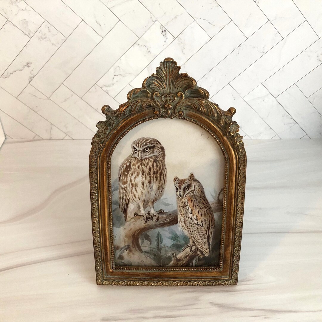 Vintage Owl Art Print in Baroque Style Arch Bronze Gold Frame - Etsy