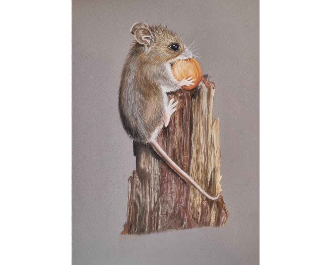 Mouse With Nut - Original Pastel Artwork - Etsy