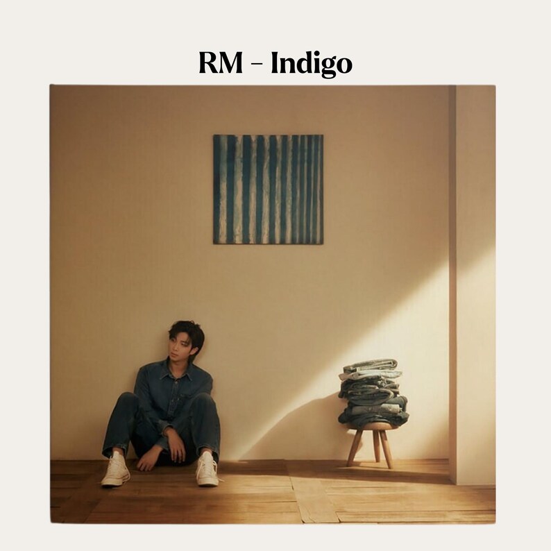 RM Indigo Album in 12 Vinyl Lp Record Available in RM and Indigo ...