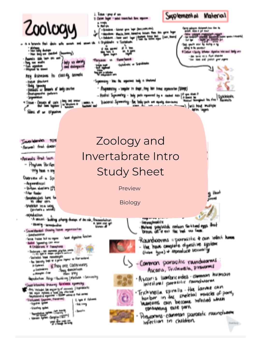 Zoology and Invertebrate Intro Study Sheet PDF (biology) - Etsy