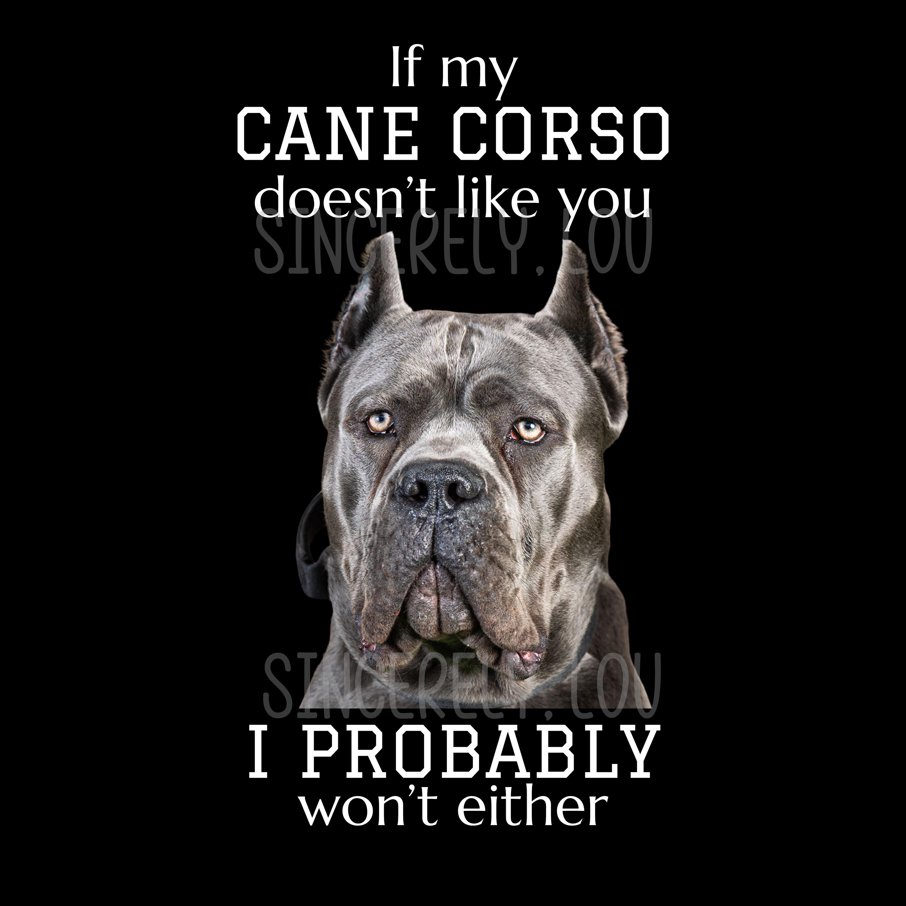 If My Cane Corso Doesn't Like You I Probably Won't Either PNG - Etsy