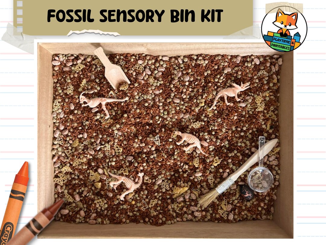 Fossil Sensory Bin - Dinosaurs - Montessori - Sensory Bin Filler ...