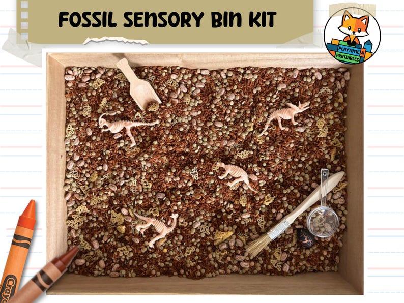 Fossil Sensory Bin Dinosaurs Montessori Sensory Bin Filler Sensory Bin ...