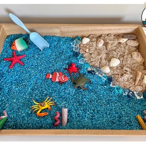 Ocean Sensory Bin Kit - Montessori - Summer Sensory Bin Filler ...