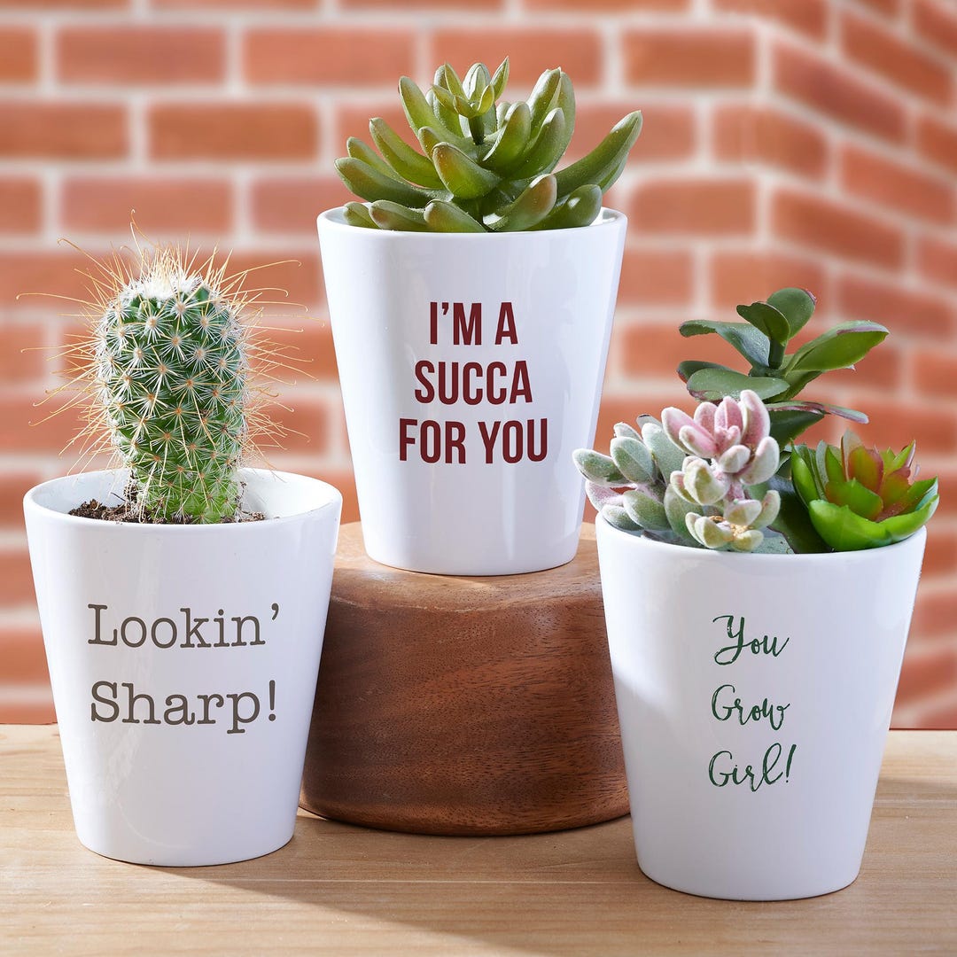 Personalized Expressions Mini Flower Pot – Custom Ceramic Planter Gift ...