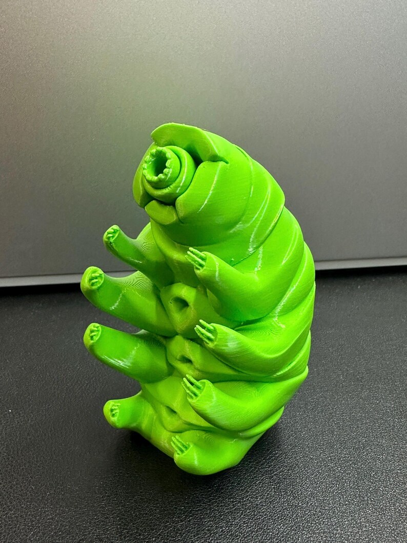 Tardigrade - Desk Figure - Etsy