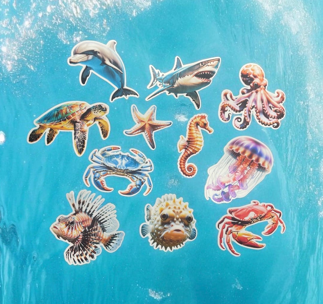 Ocean Animals Sticker Pack - Etsy
