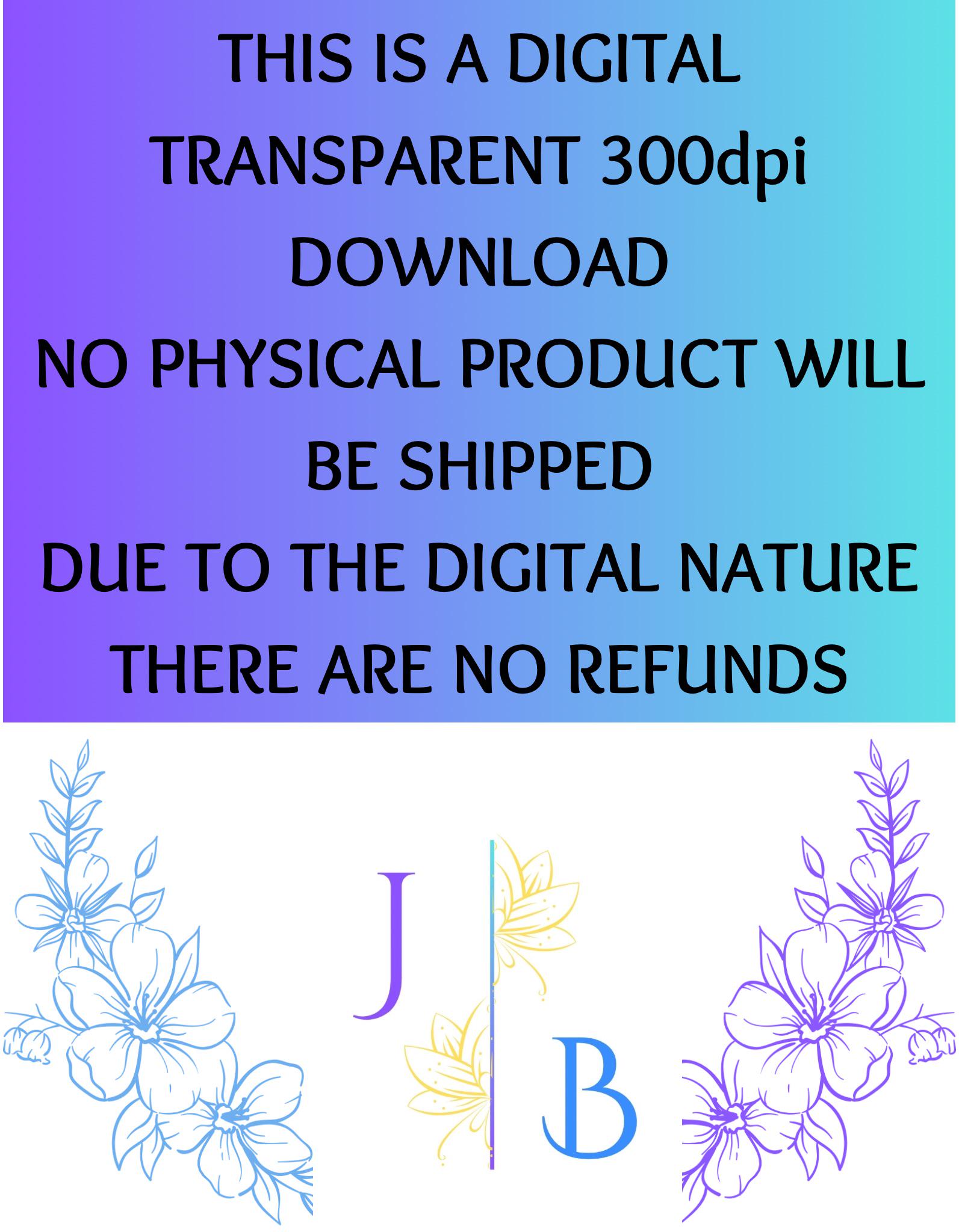 Coquette Cows and Bows, PNG, Cow Print Bows, Coquette Highland Cows ...