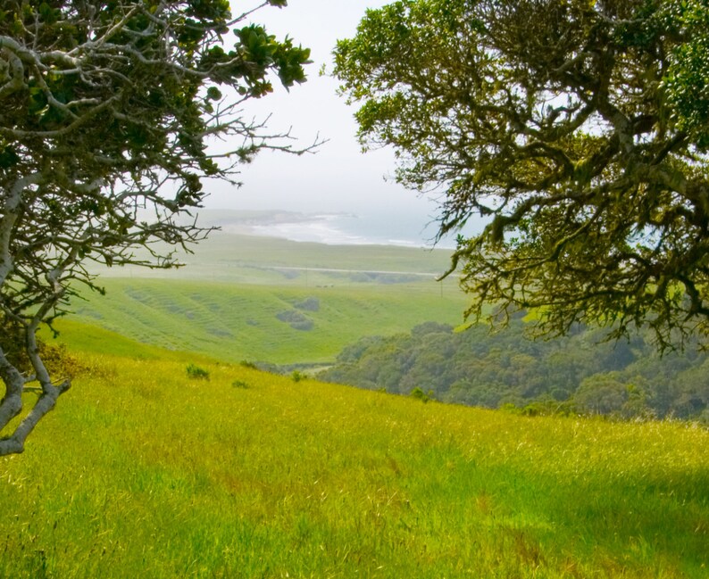 Arroyo Laguna Oaks Vista Fine Art Photo Cambria Hearst Ranch by Michael ...