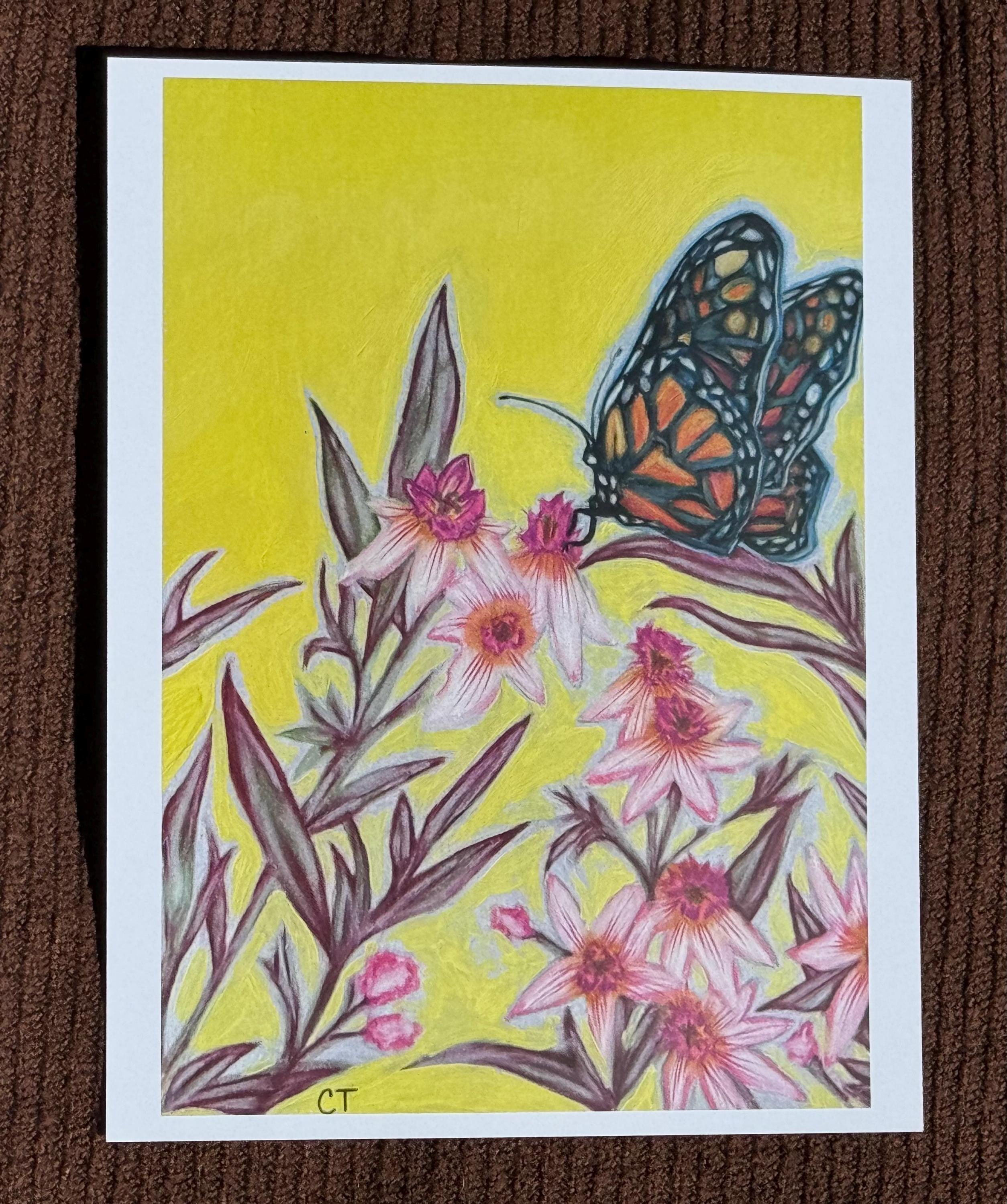 Monarch and Milkweed, Art Prints, Flower Drawing, Wall Decor, Paintings ...