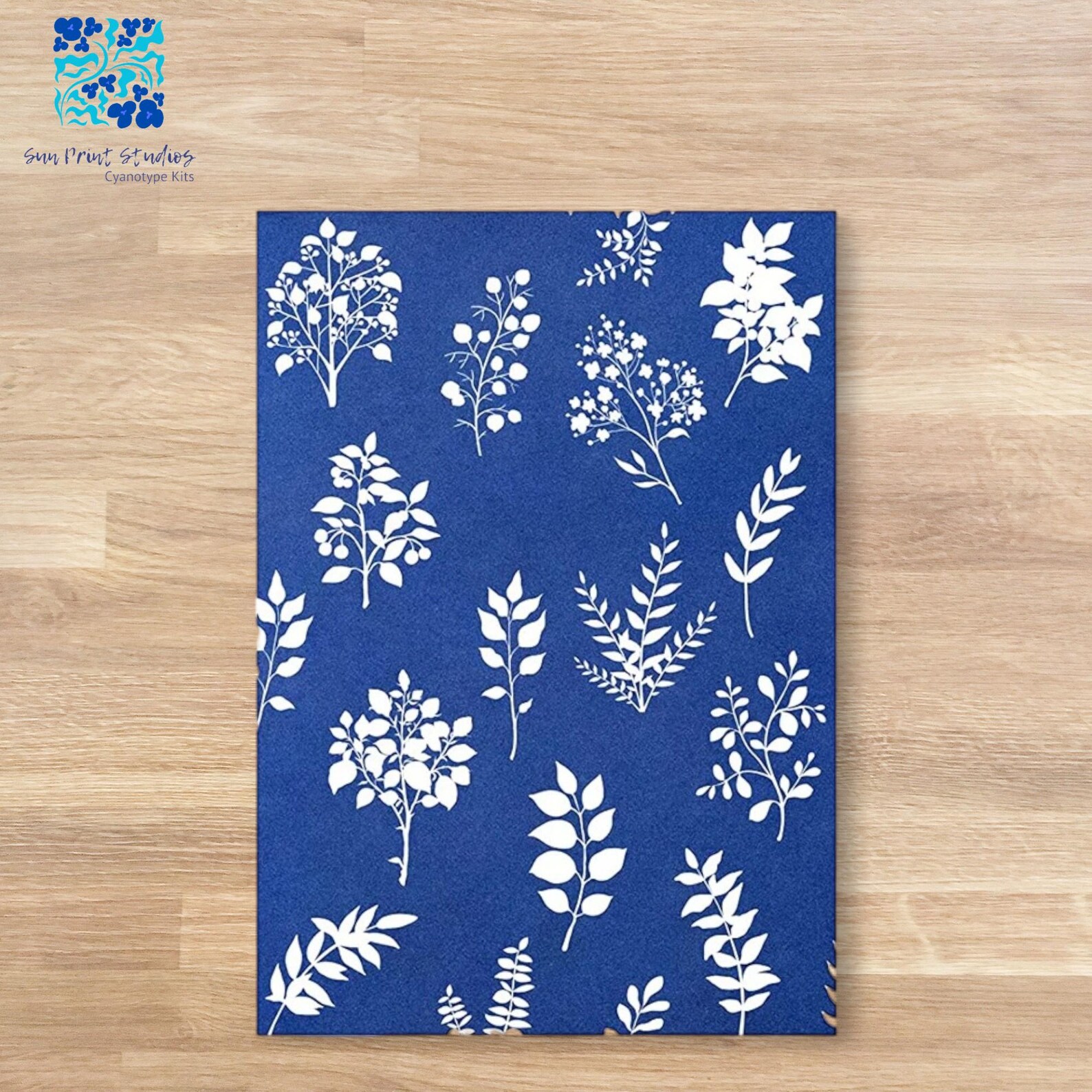 24 DIY Cyanotype Print Kit, Sun Printing Kit, Cyanotype Art, Solar ...