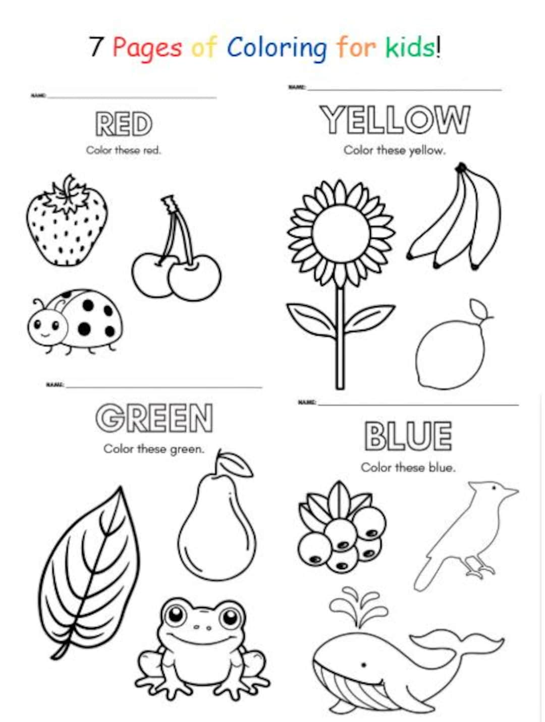 Learn the Colors Worksheet for Preschool and Kindergarten PDF 7 Pages ...