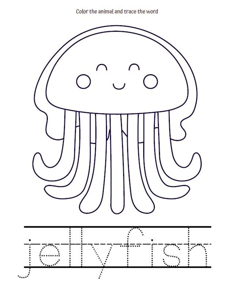 Animal Letters, Coloring, and Tracing Packet - Etsy