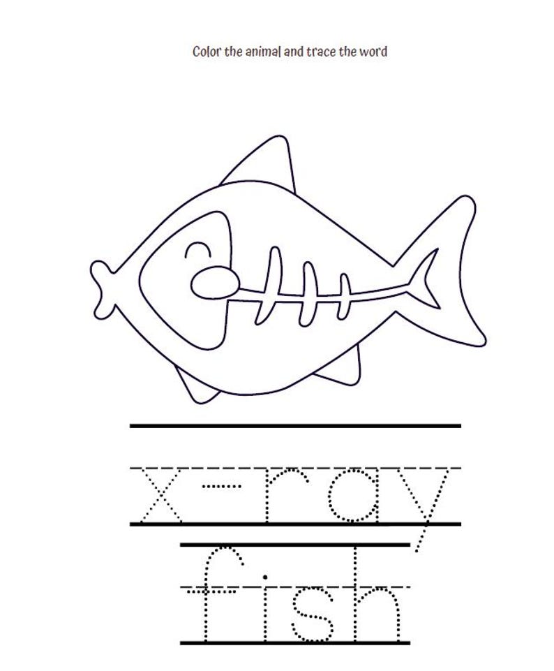 Animal Letters, Coloring, and Tracing Packet - Etsy