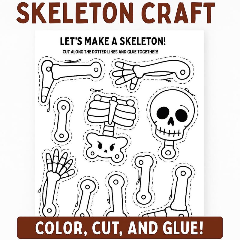 All About the Skeleton for Kids - Etsy New Zealand