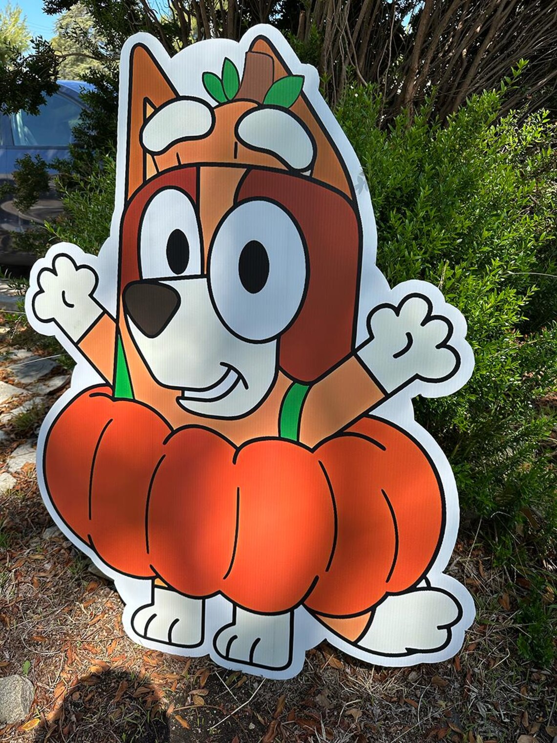 Bluey - Bingo Halloween Props, Bluey Cartoon Decorations, Bluey Cartoon ...