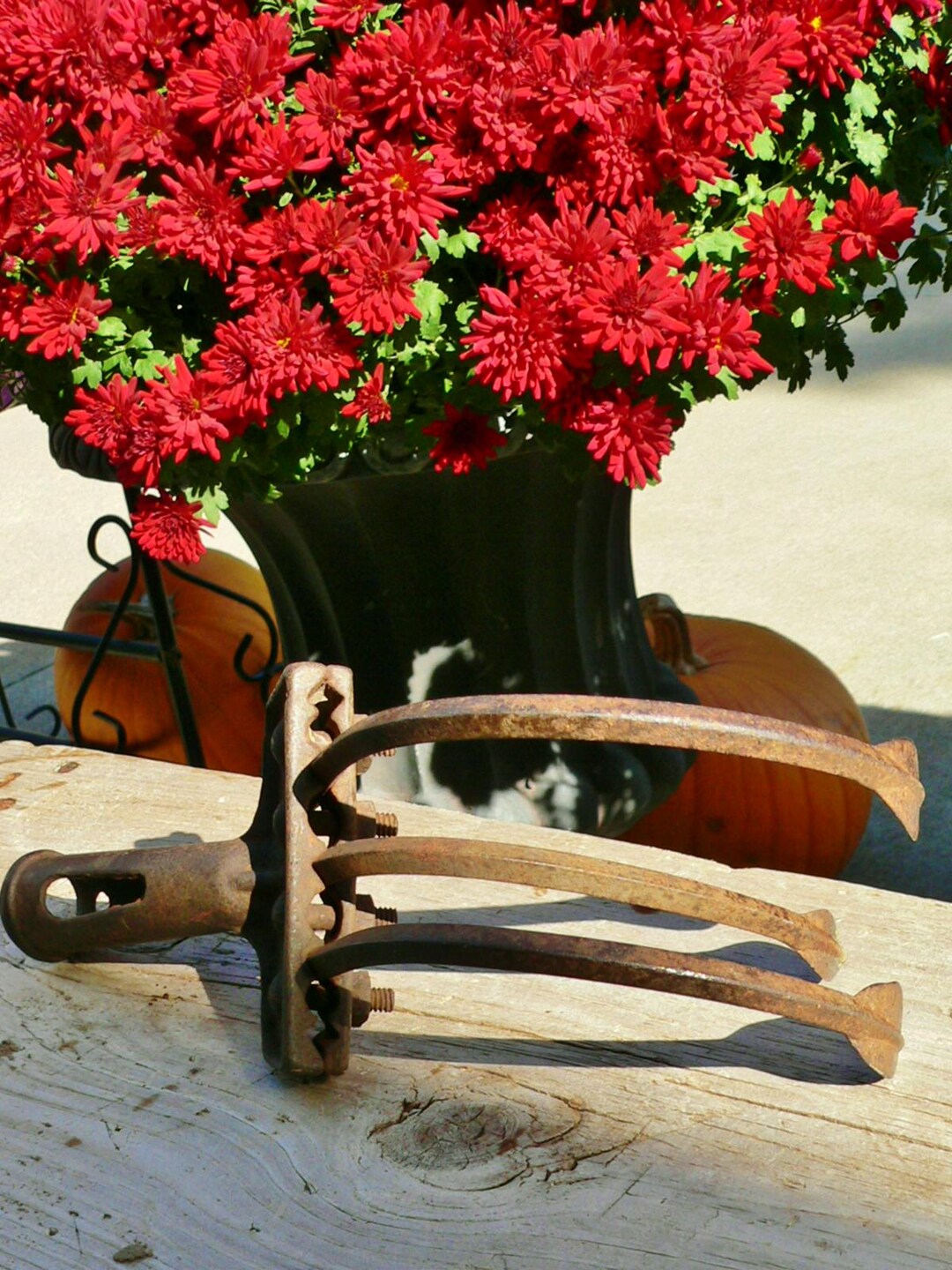 3 Tine Cultivator Farm Garden Tool Claw Hand Welders Head Hoe Steampunk ...