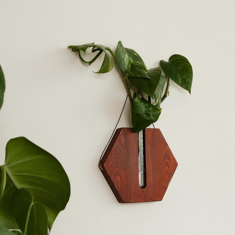 Hexagon Wall Planter - Etsy