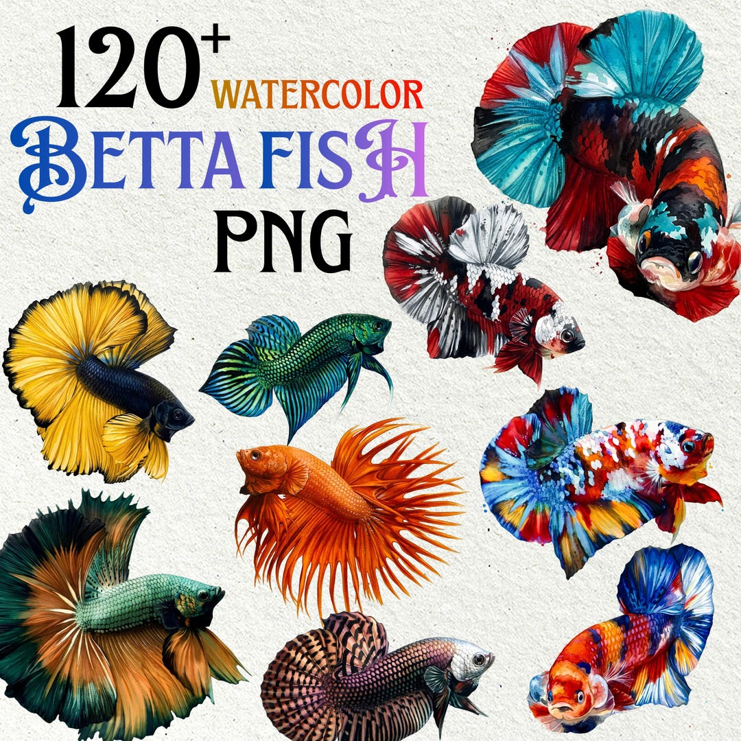 Watercolor Betta Fish PNG Clipart Bundle – 120+ Varieties Aquarium ...