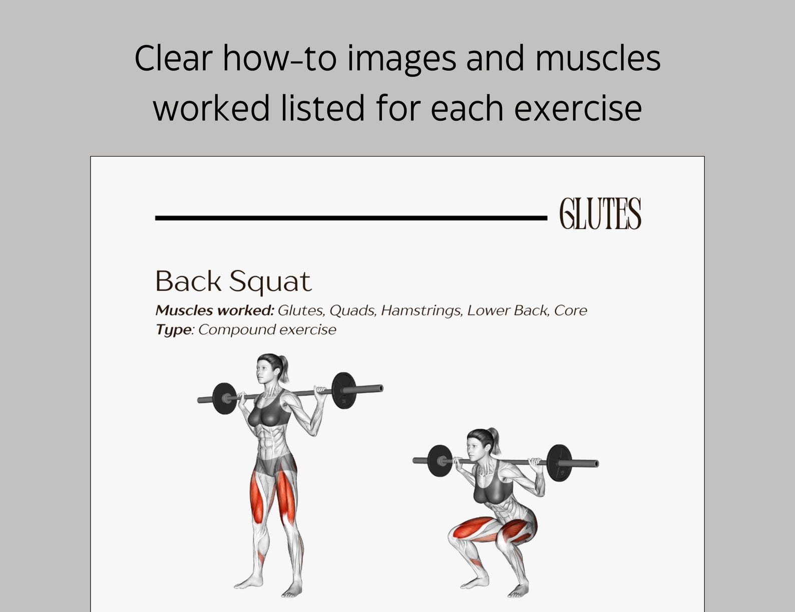 Exercise Library Gym Edition / Execise Glossary for Strength Training ...