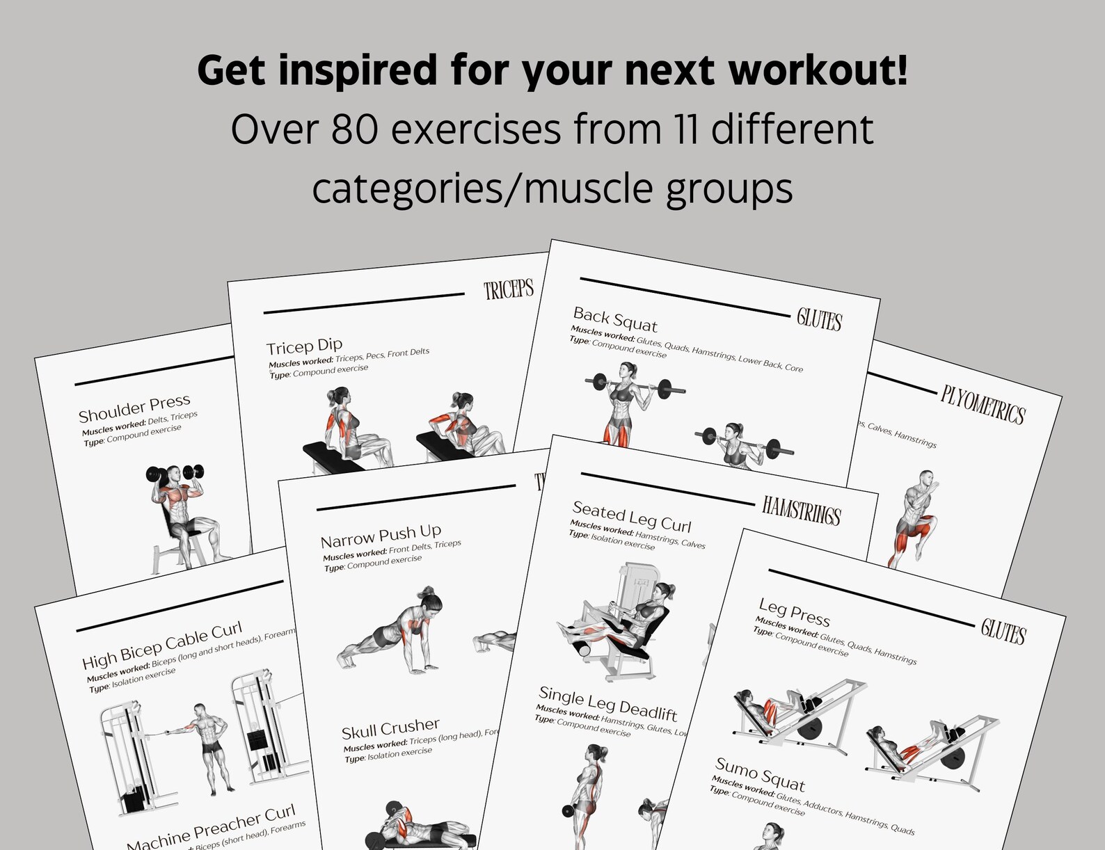 Exercise Library Gym Edition / Execise Glossary for Strength Training ...
