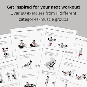 Exercise Library Gym Edition / Execise Glossary for Strength Training ...