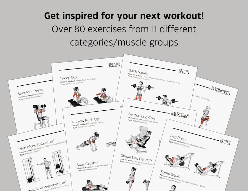 Exercise Library Gym Edition / Execise Glossary for Strength Training ...