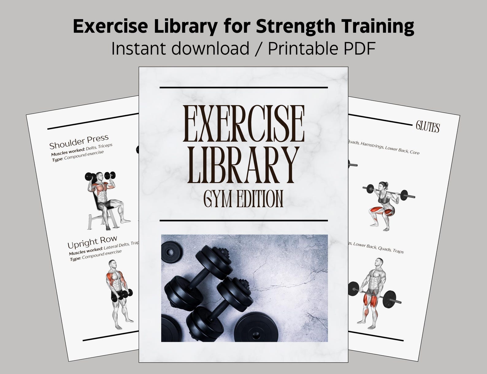 Exercise Library Gym Edition / Execise Glossary for Strength Training ...
