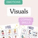 Emotional Regulation Posters Visual Aids Emotions and Coping Skills - Etsy