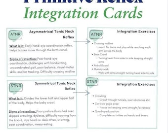 Primitive Reflex Integration Exercises and Activity Cards PT OT Reflex ...