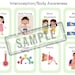 Sensory Regulation Sensory Diet Cards Activities - Etsy