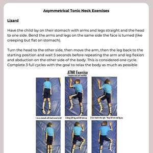 Primitive Reflex Evaluation, Testing, and Treatment Guide - Etsy