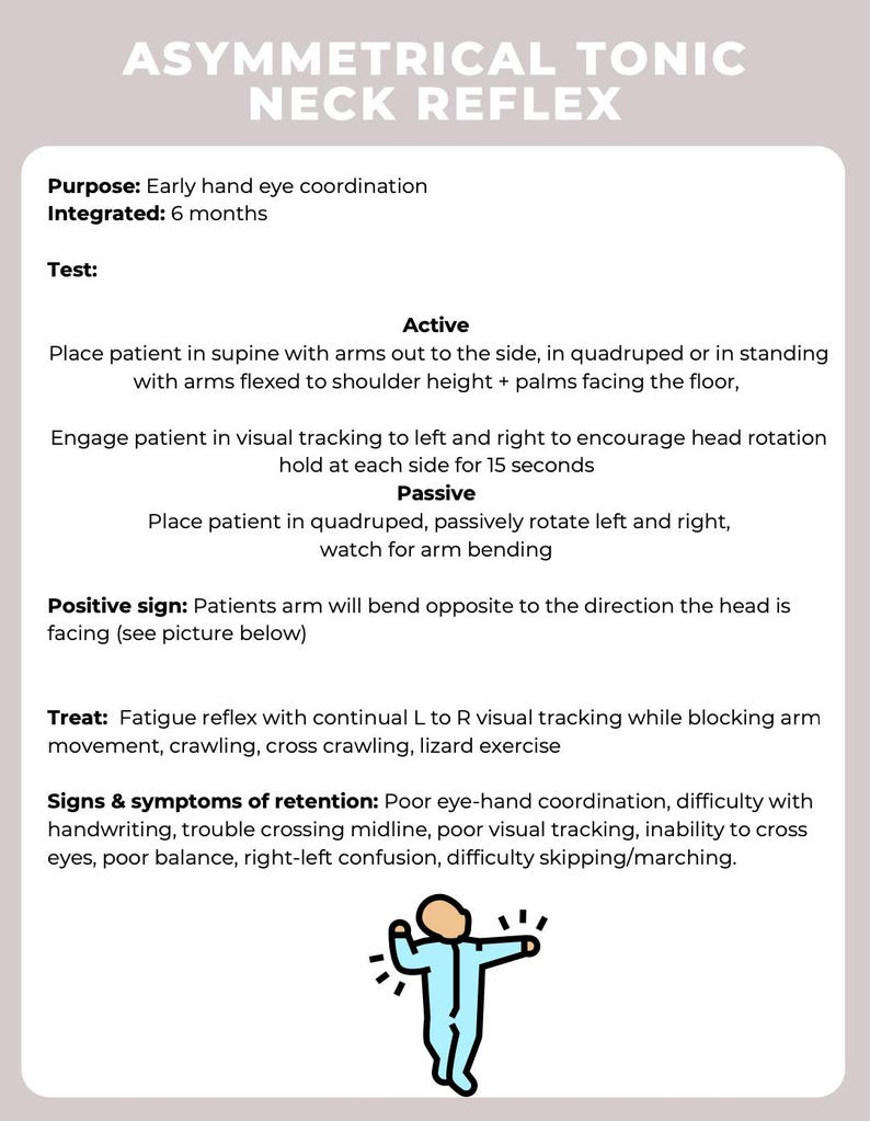 Primitive Reflex Evaluation, Testing, and Treatment Guide - Etsy
