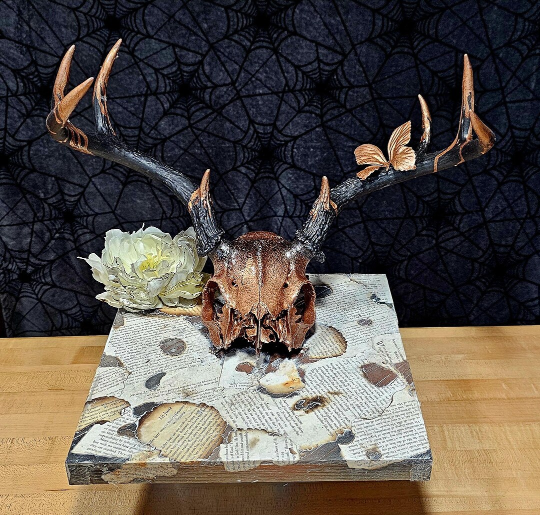 Mounted Deer Skull - Etsy