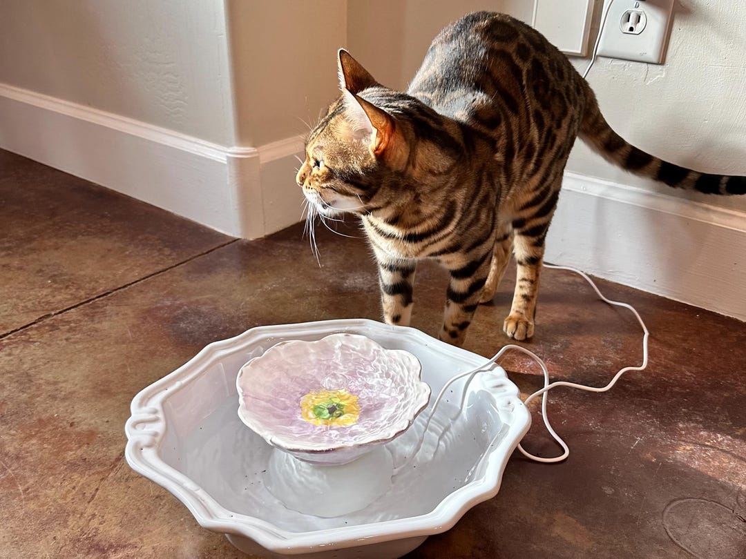 Lavender Bloom Cat Water Fountain - Etsy