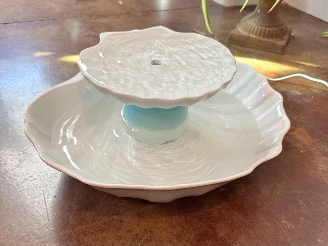 Ocean Elegance: Clam Shell Cat Water Fountain - Etsy