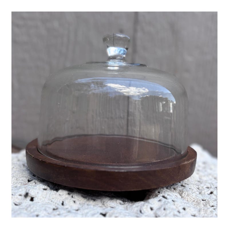 Cheese Cloche - Etsy