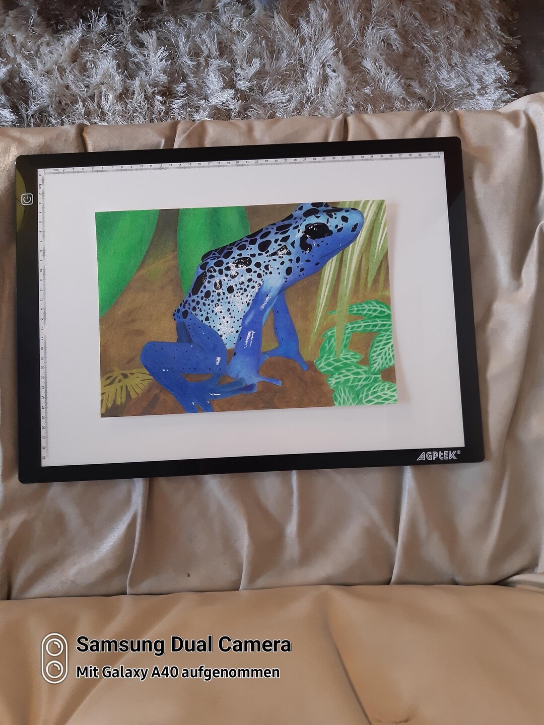 Original Picture poison Dart Frog, Oil Crayons, Ink, and Varnish on ...