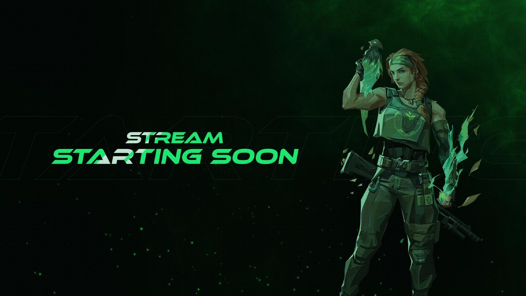 Stream Screens Animated Pack Valorant Theme Starting, BRB, Ending ...