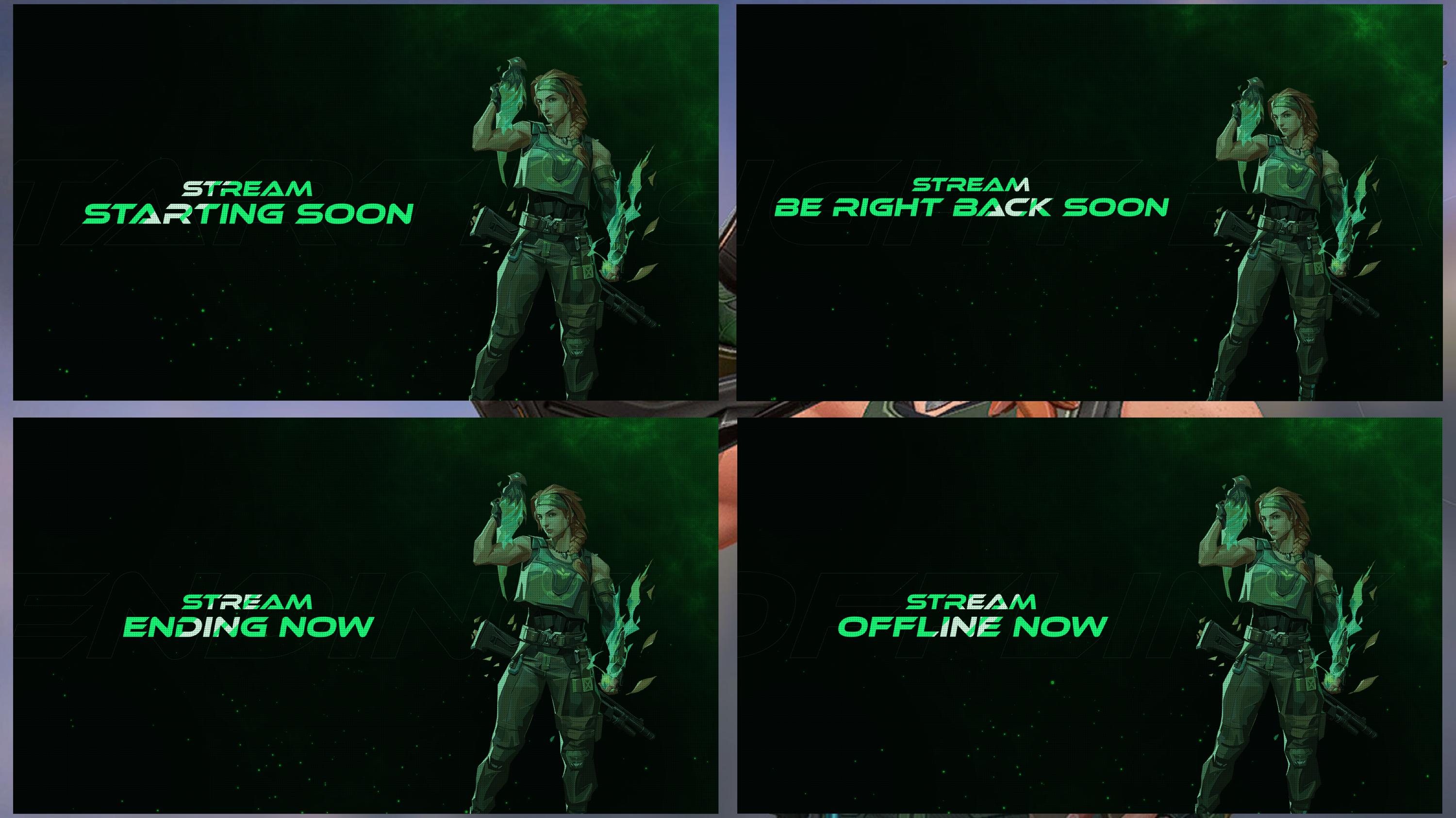 Stream Screens Animated Pack Valorant Theme Starting, BRB, Ending ...