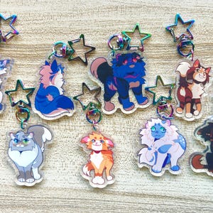 Warrior Cat Protagonist-inspired Holographic Acrylic Keychains - Etsy