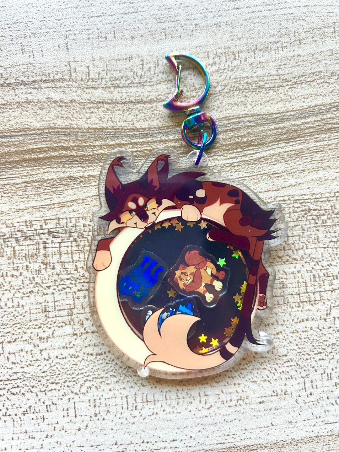 Sol Warrior Cats-inspired Shaker Keychain - Etsy