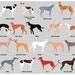 Greyhound Dog Art Print Greyhound Chart Wall Art Dog Lover - Etsy